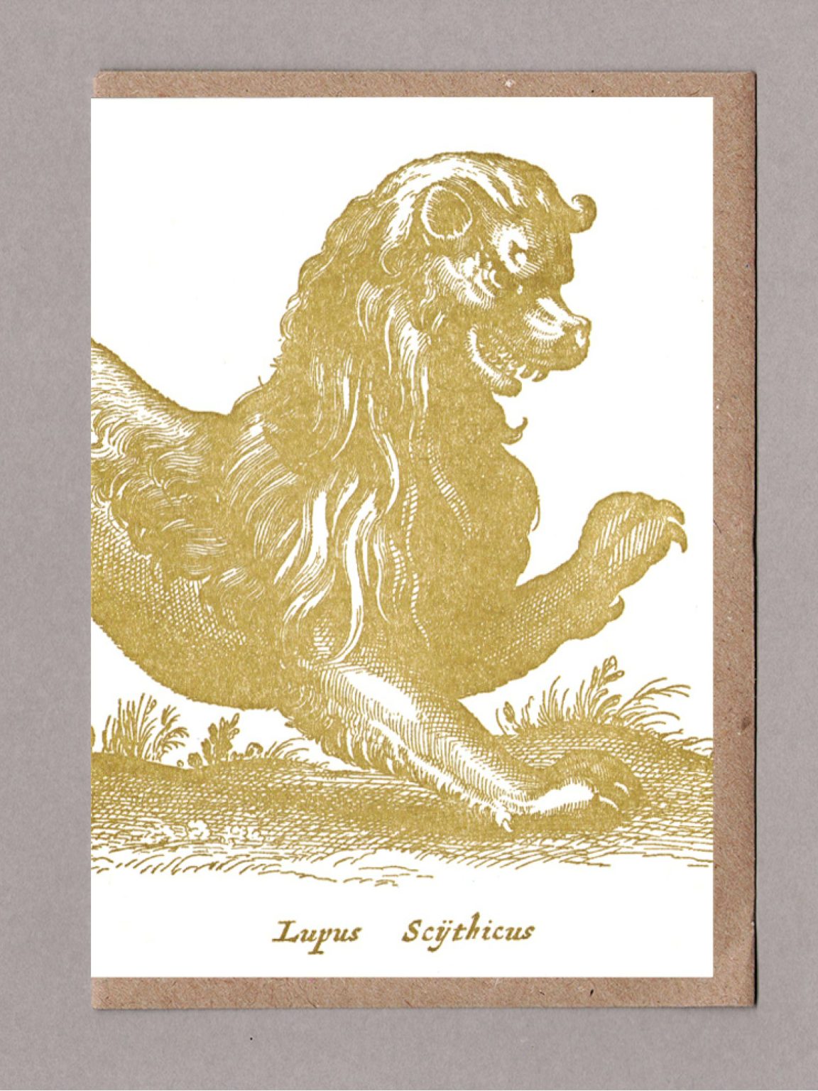 Lion - The Passenger Press